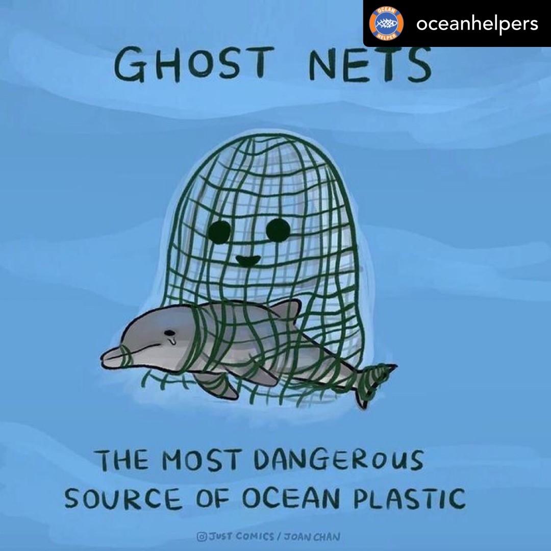 ghost gear – Whale Tales